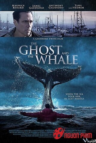Phim Hồn Ma Và Cá Voi | The Ghost And The Whale - Vietsub, Thuyết Minh ...